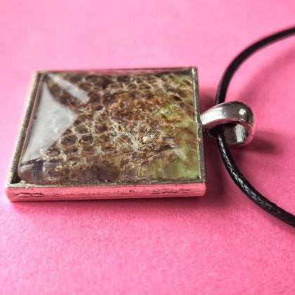Snake Shed Necklace | Reptile Decor | Reptile Gift Ideas | Snake People ...