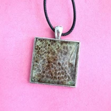 Snake Shed Necklace | Reptile Decor | Reptile Gift Ideas | Snake People ...