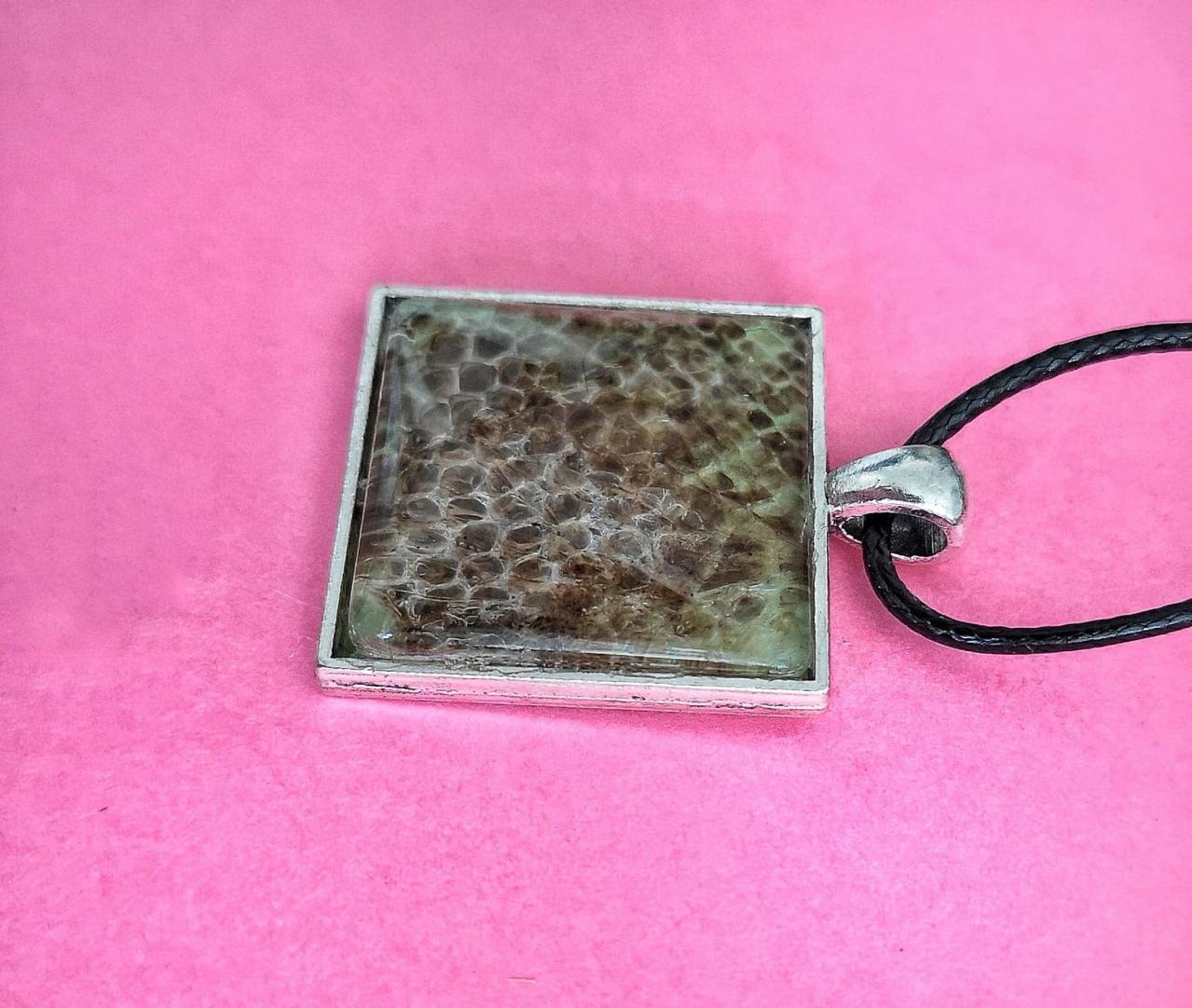 Snake Shed Necklace | Reptile Decor | Reptile Gift Ideas | Snake People ...