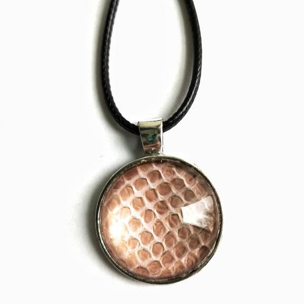 Snake Shed Necklace | Reptile Decor | Reptile Gift Ideas | Snake People ...