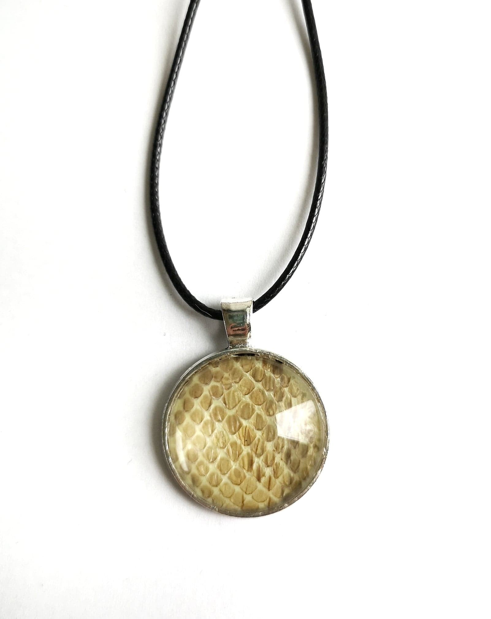 Snake Shed Necklace | Reptile Decor | Reptile Gift Ideas | Snake People ...