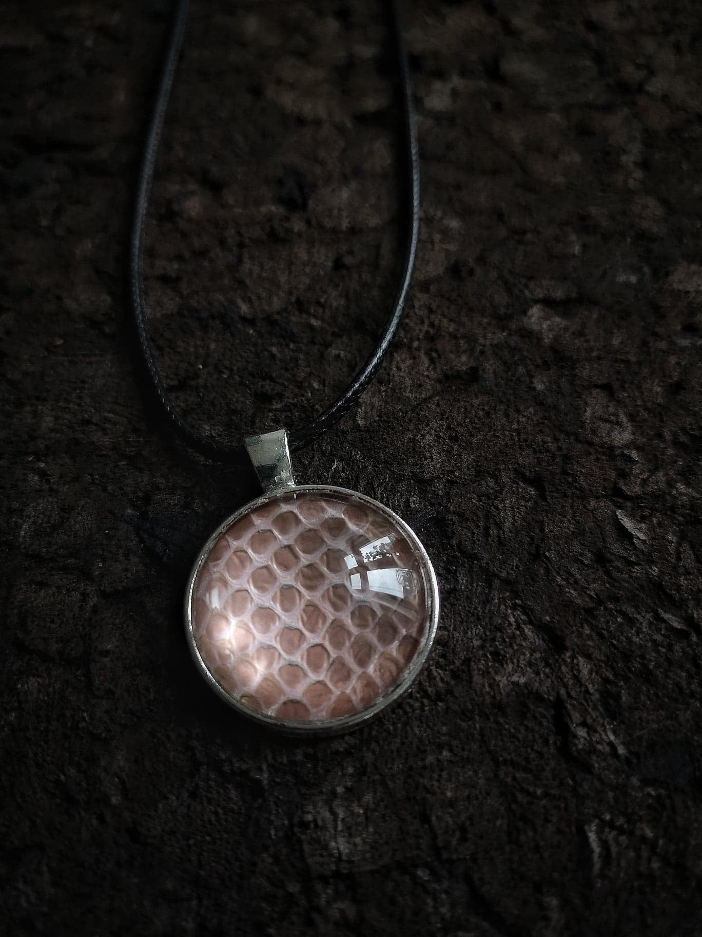 Snake Shed Necklace | Reptile Decor | Reptile Gift Ideas | Snake People ...